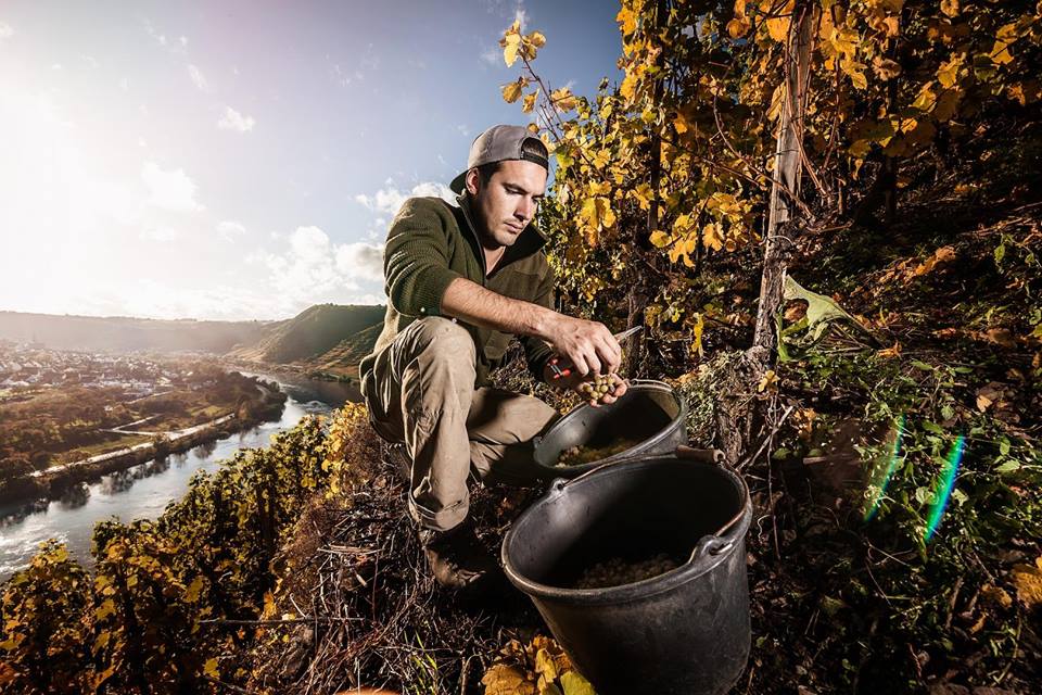 Knebel - Riesling von den Terrassen trocken VDP 2022 - Matthias Knebel ...