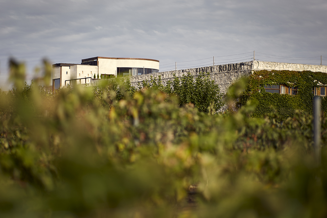 Finca Rodma - Selección 2021 - Finca Rodma | justWINE